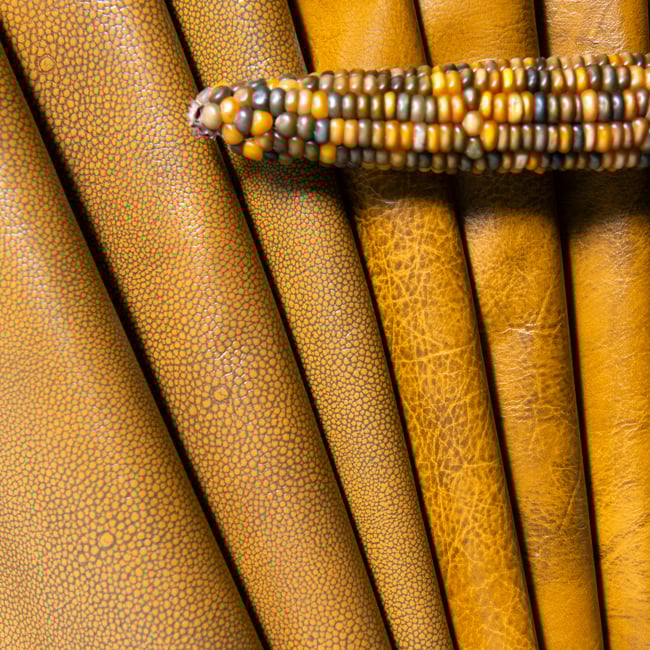 Design a Custom Leather with Jamie Stern