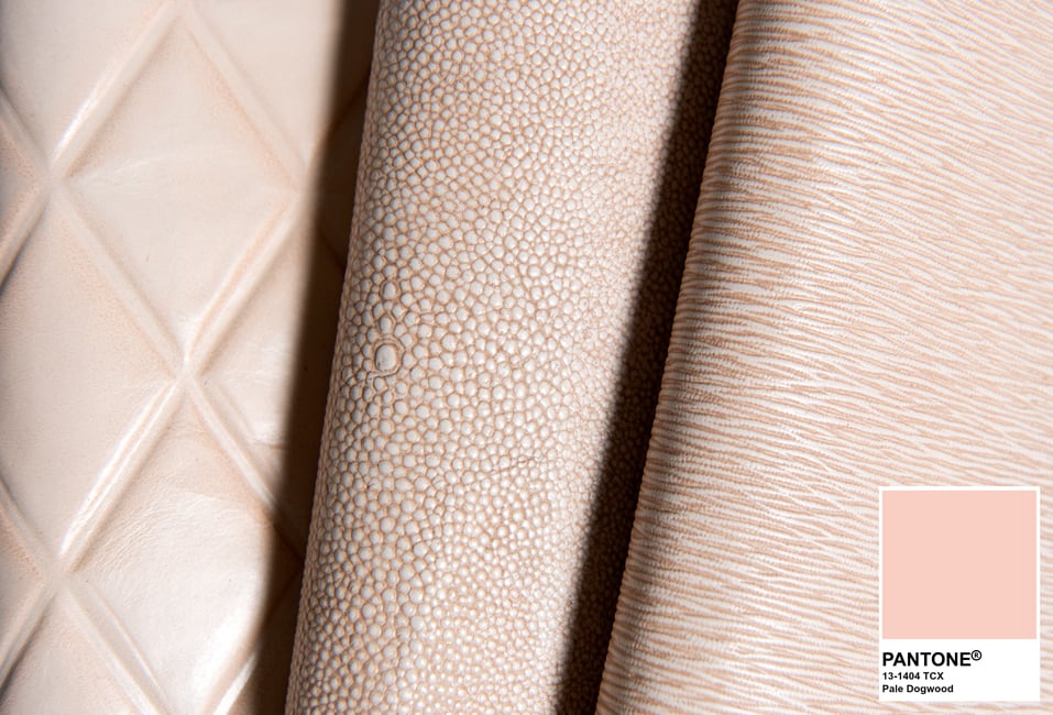 Design a Custom Leather with Jamie Stern